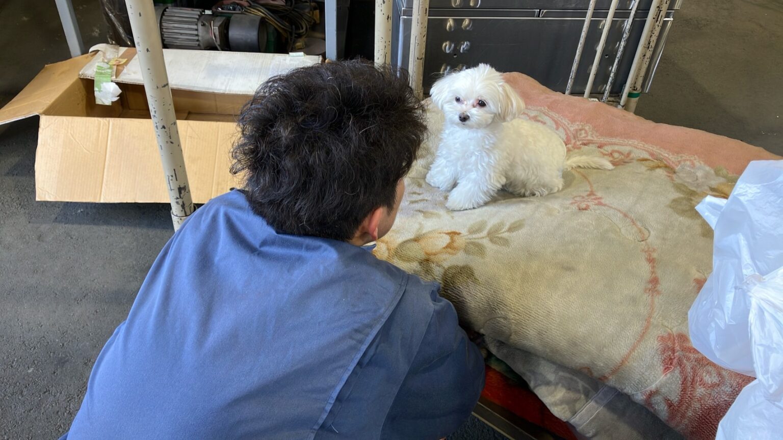 マリンと2ショット📸💗 - 岡山県瀬戸内市の高品質な精密板金・レーザー加工｜有限会社森製作所